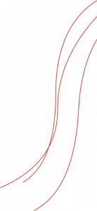 QYU Restaurant – Willkommen zur offiziellen Website von QYU Restaurant!